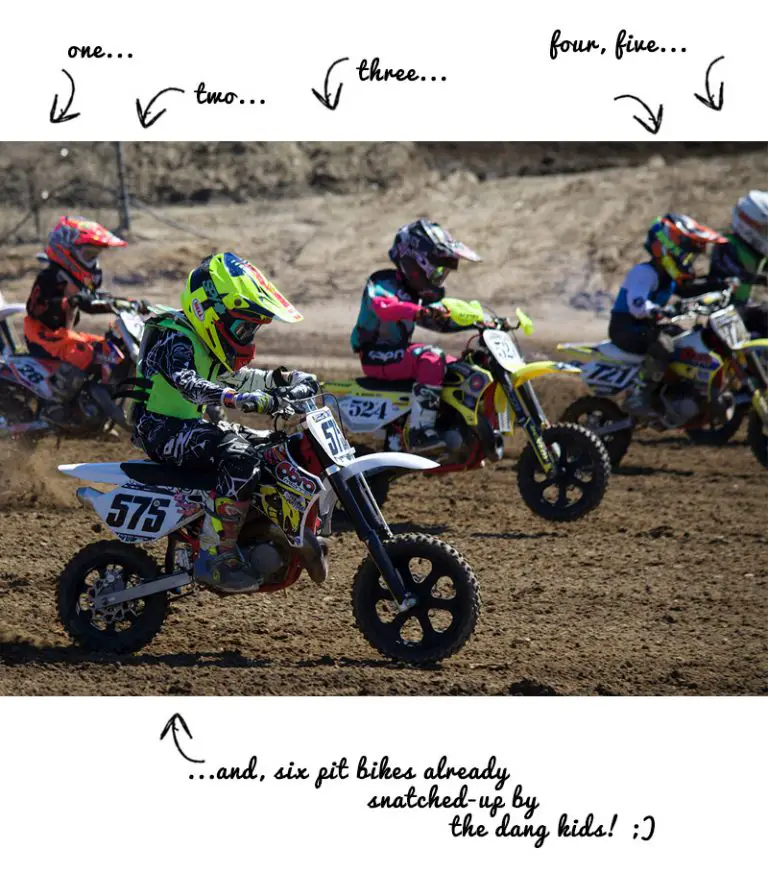 Best Pit Bikes for Adults (a Look at Pricing, Sizes, and Makes)