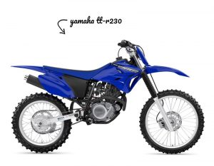 Yamaha TTR 230 (HP, Top Speed, Specs) - Any Good?